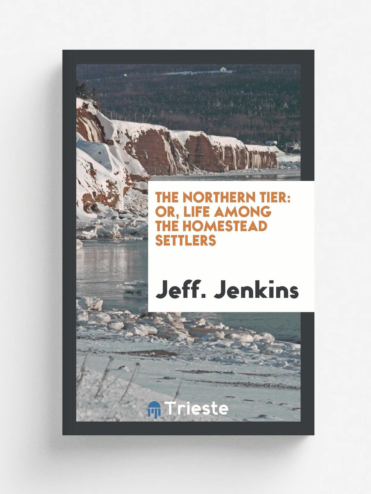 The northern tier. or, Life among the homestead settlers