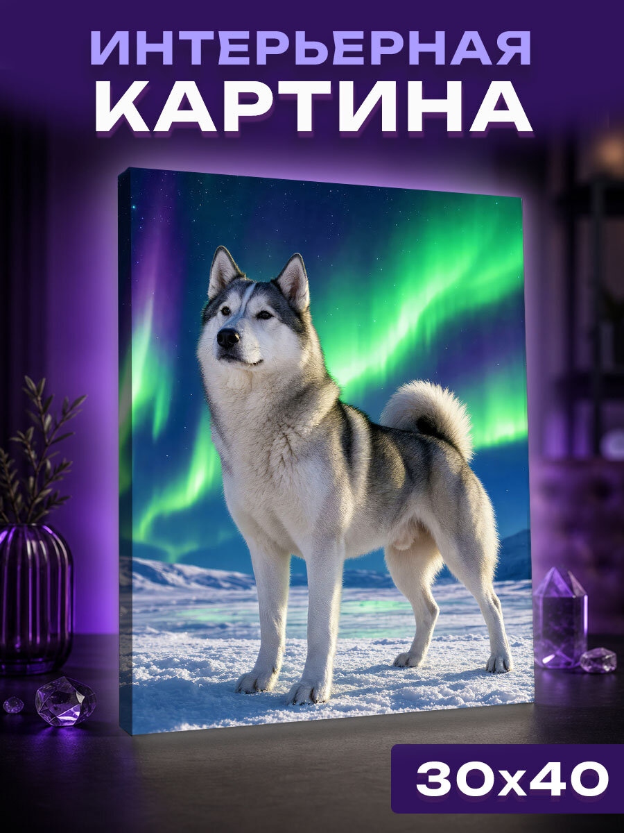 Интерьерная картина Лайка под северным сиянием