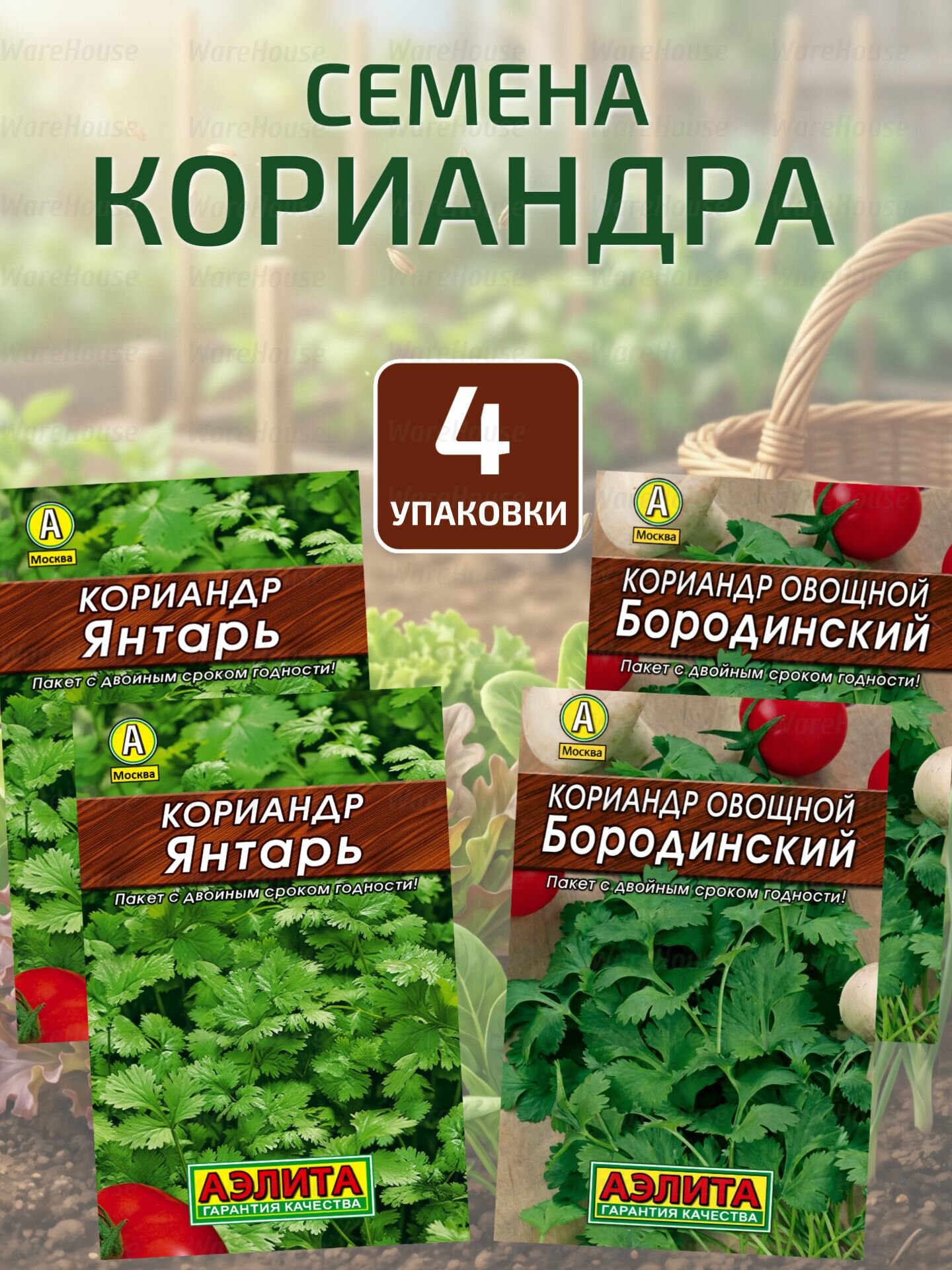 Семена Кориандр (Кинза) Янтарь, Кориандр (Кинза) овощной Бородинский, 4 упаковки. семена кинзы Янтарь Бородинский