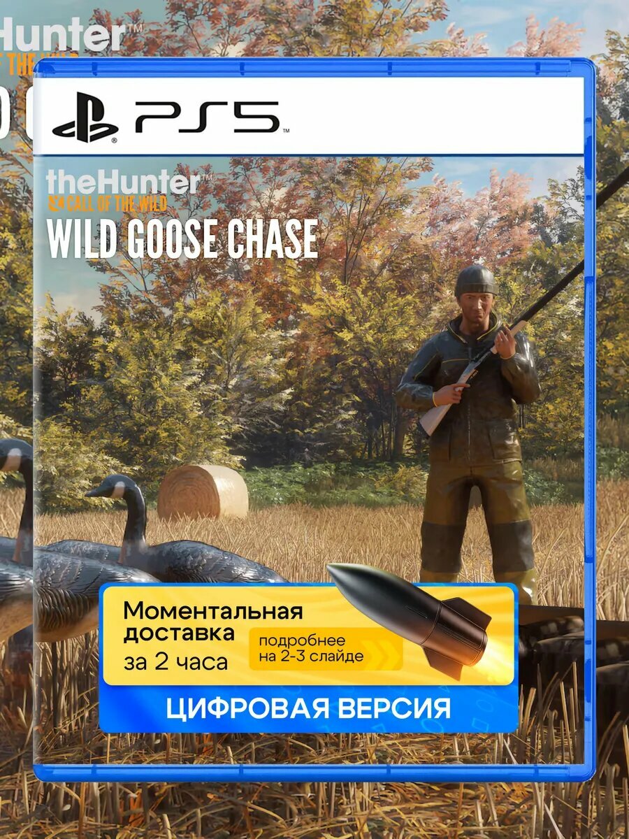 Дополнение theHunter - Wild Goose Chase Gear для Sony PlayStation PS4 PS5