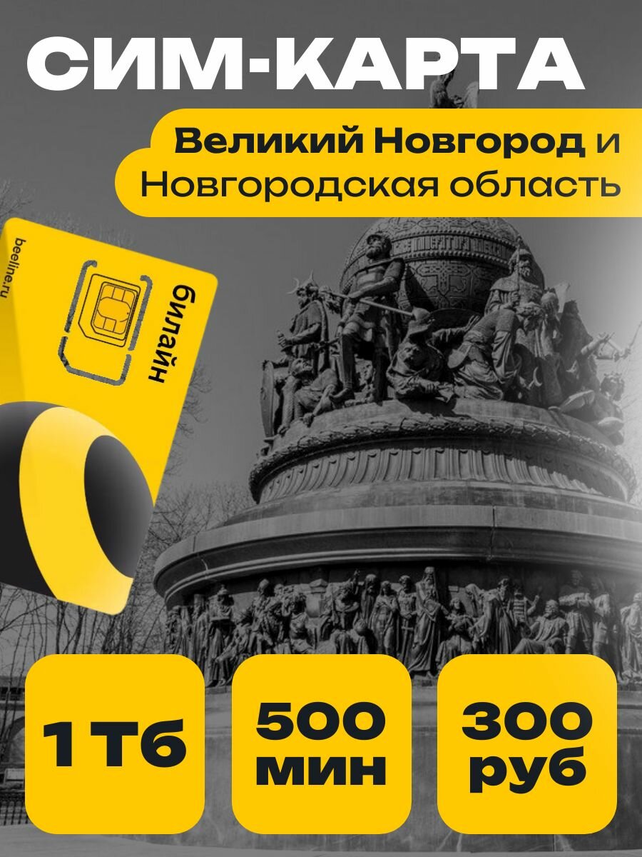 Сим-карта Билайн тариф Эксклюзивный Новгородская область 1000 Гб + 500 минут за 300 руб.