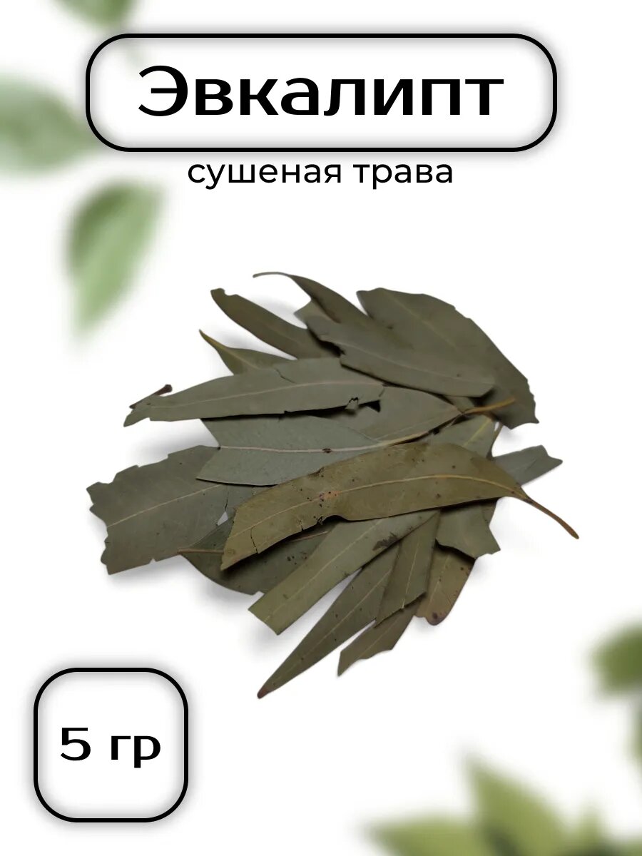 Эвкалипт сушеные листья - 5 гр
