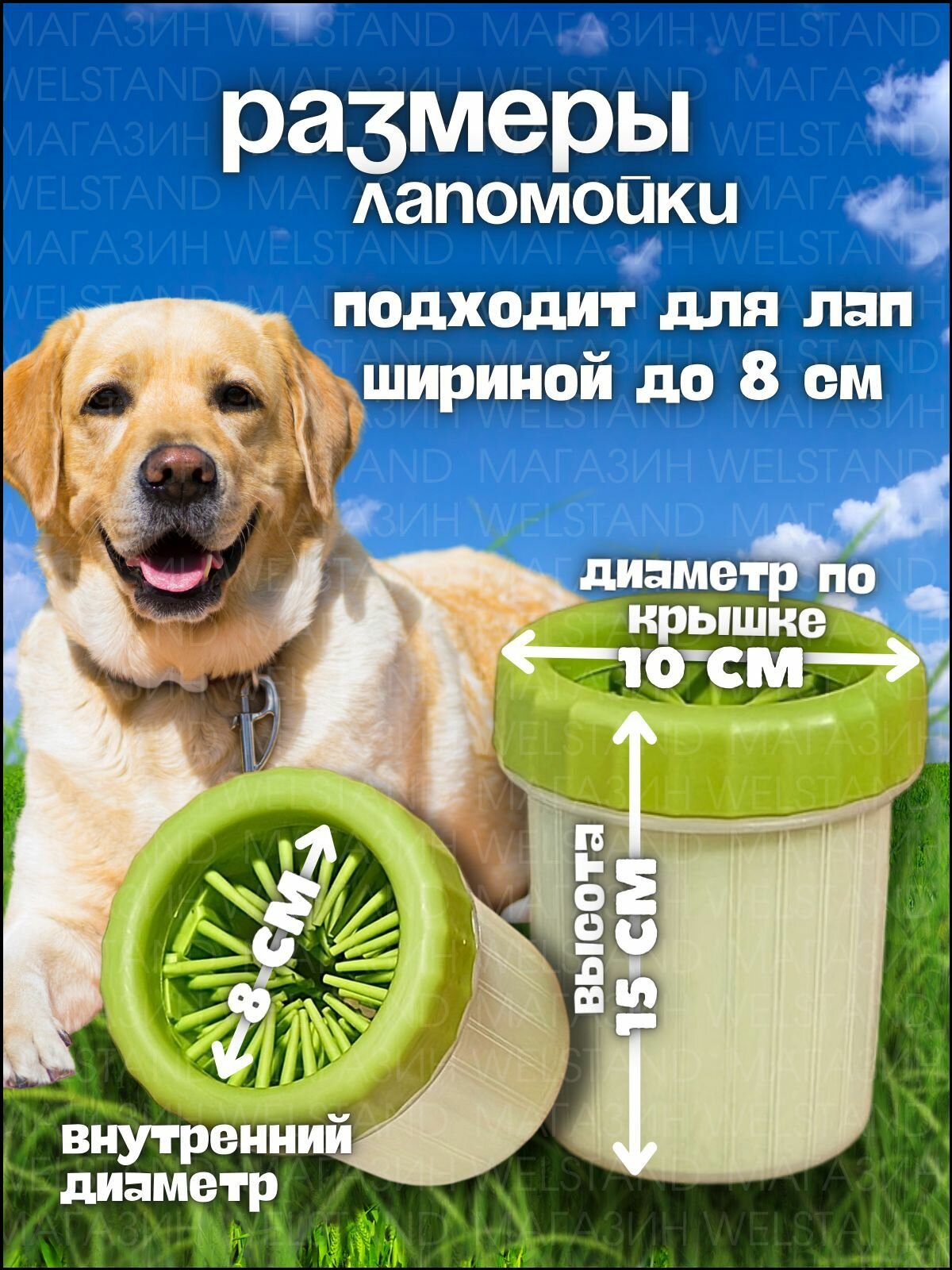 Лапомойка