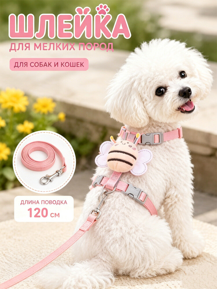 Шлейка для собак мелких пород