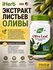 Лист оливы olive leaf