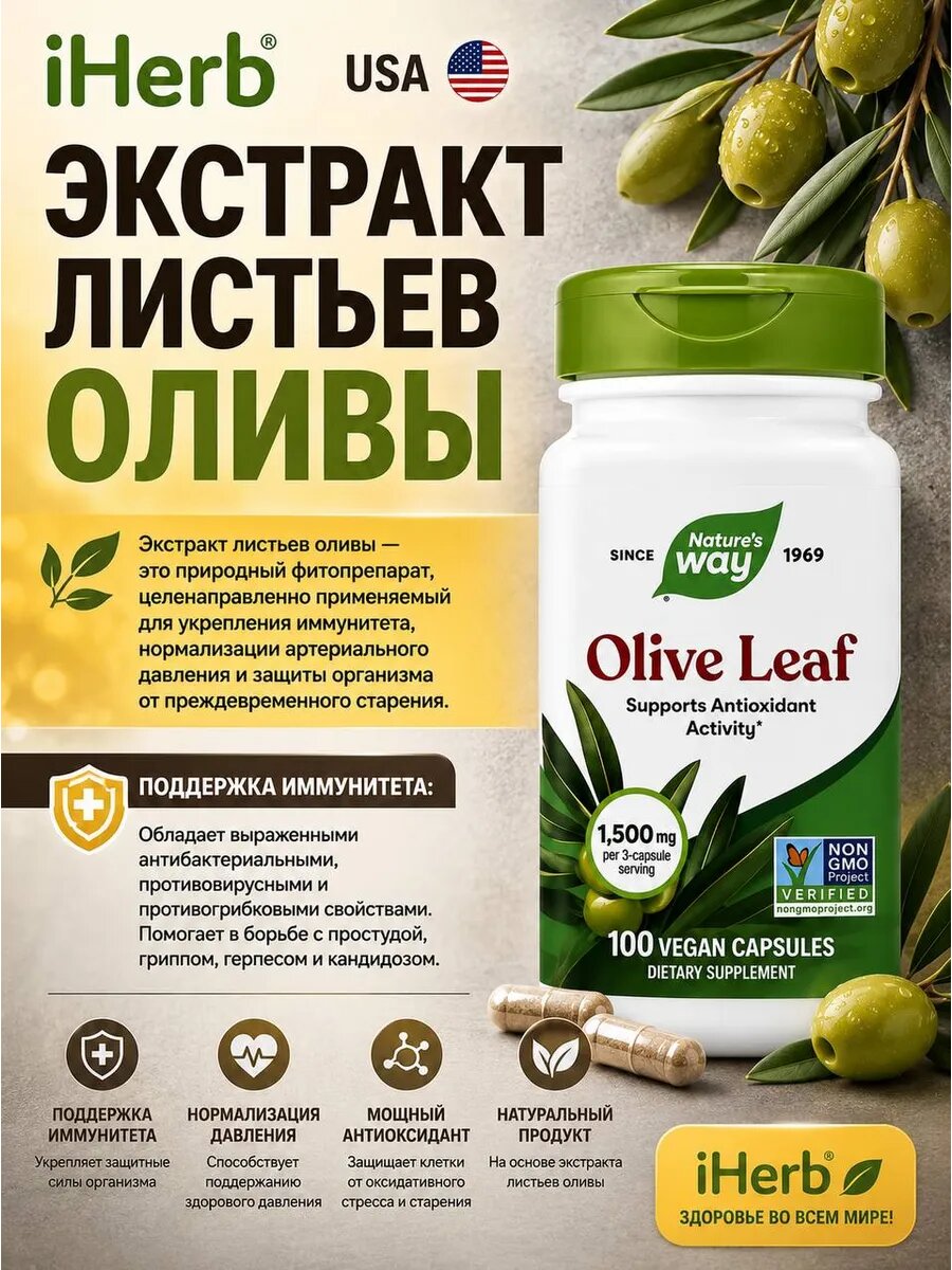 Лист оливы olive leaf