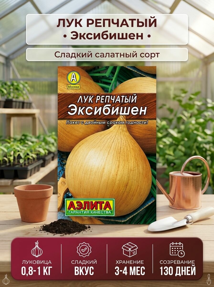 Лук репчатый Эксибишен лук севок Эксибишен репчатый лук