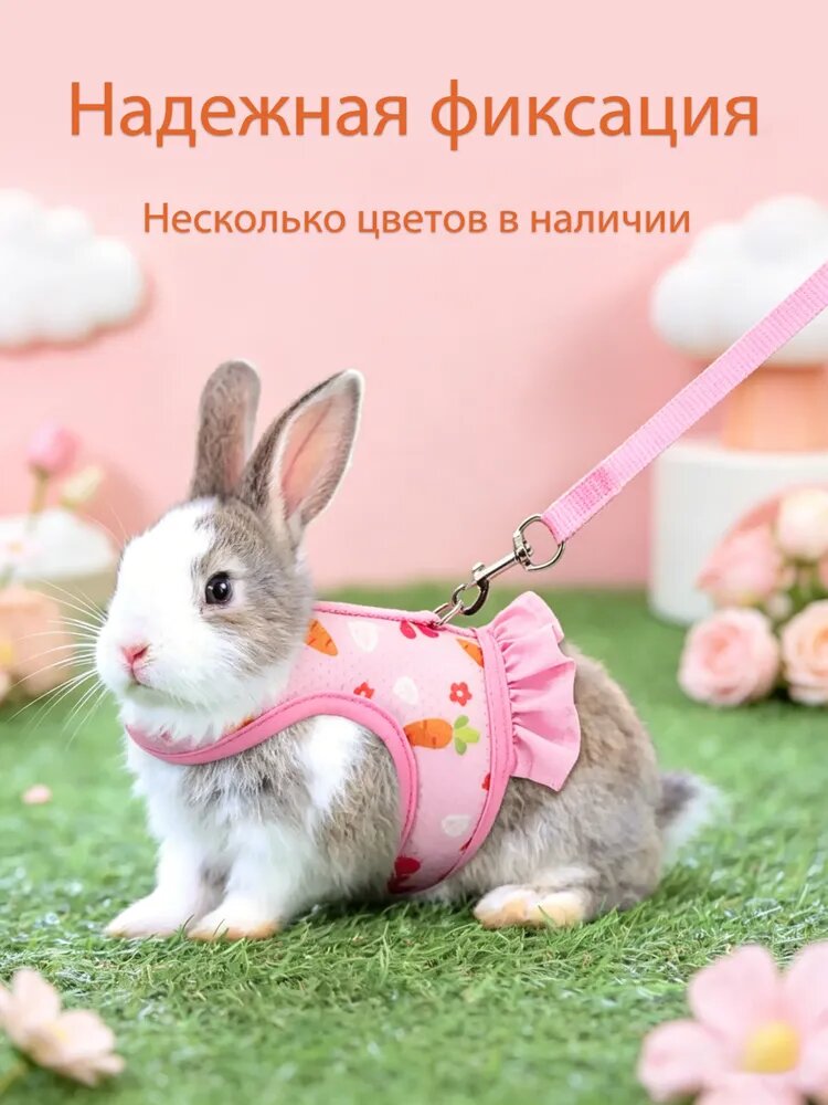 Одежда кролика для животных — фото 1
