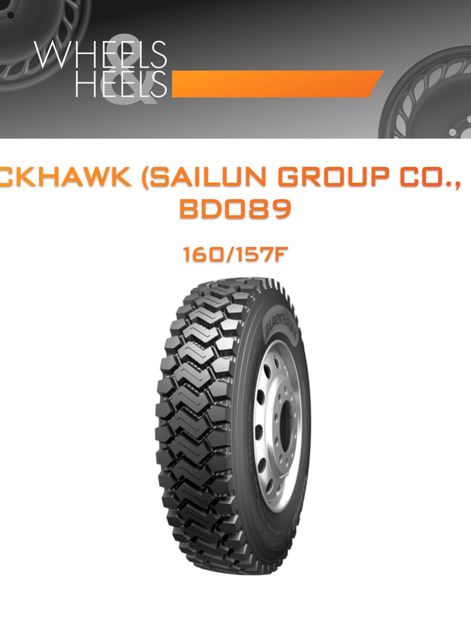 Шина автомобильная Blackhawk (Sailun Group Co, LTD) BDO89 12/0 R24 160/157F ALLSEASON, всесезонная, универсальная