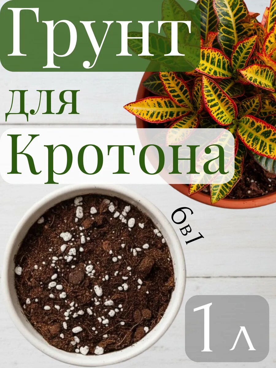 Готовый грунт для Кротона 1 литр