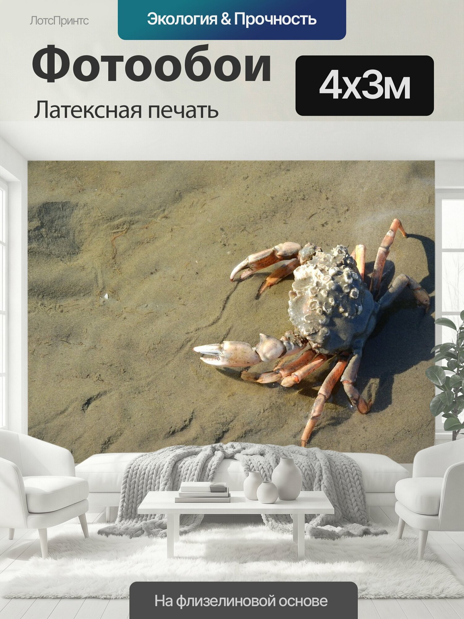 Фотообои моющиеся ударопрочные "Краб, клешни, брачюра" 400x300 см. латексная печать