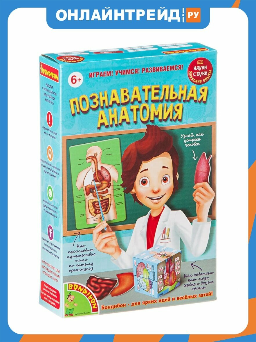 Набор для опытов Bondibon ВВ1836 Познавательная анатомия