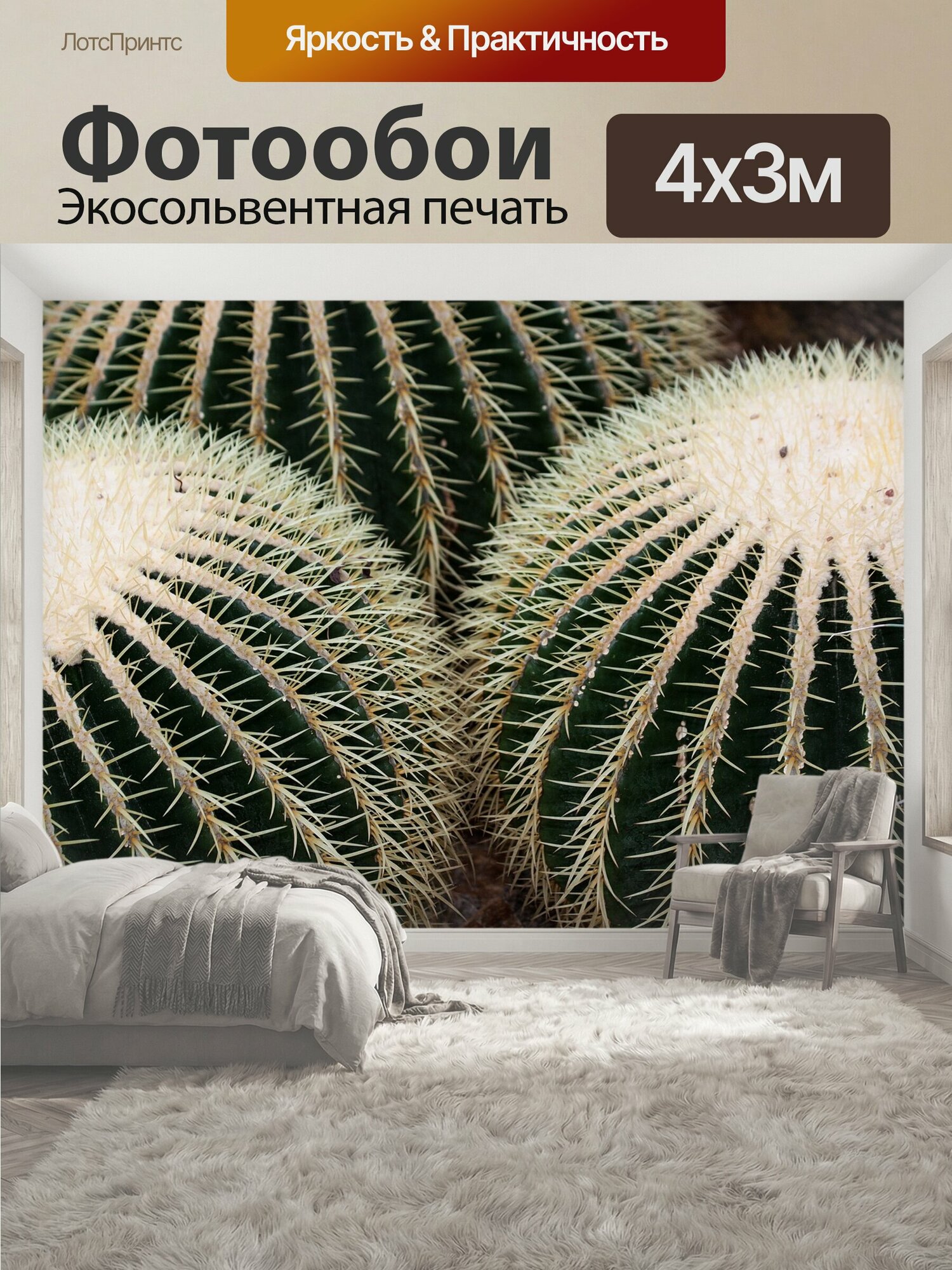 Фотообои "Кактус, кактусов, кактусы" 400x300 см. экосольвентная печать