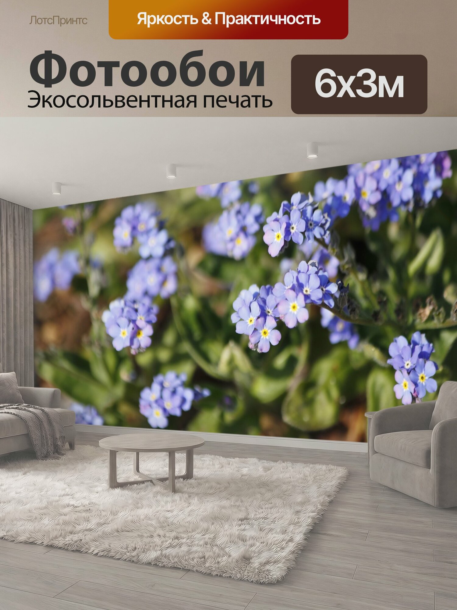Фотообои "Синий, весенний цветок, незабудка" 600x300 см. экосольвентная печать