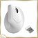 Мышь Keychron M5 White, белый