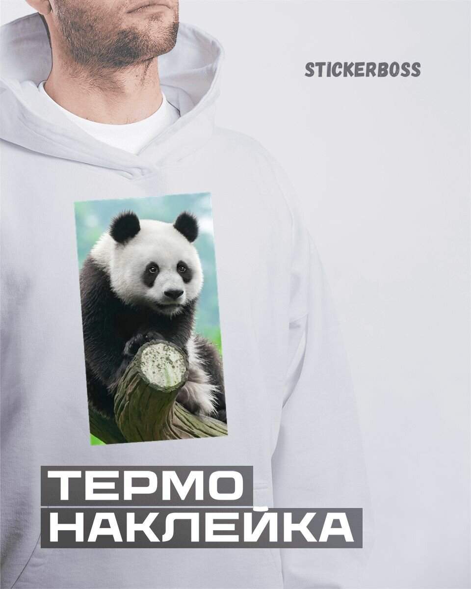 Термонаклейка термотрансфер на одежду панда — фото 1