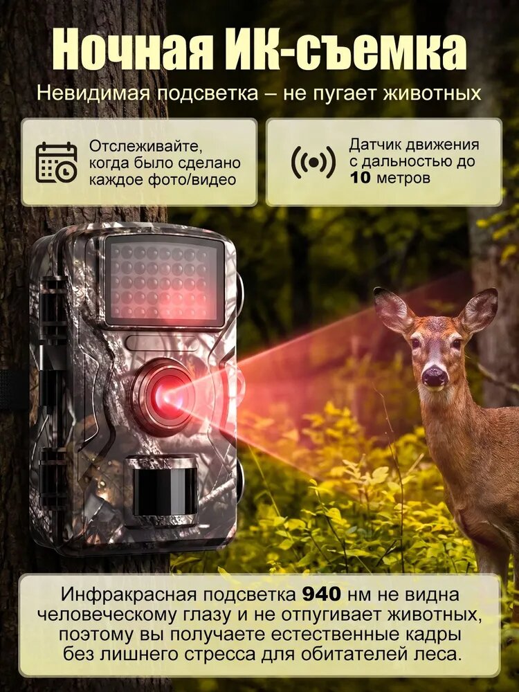 Фотоловушка — фото 1