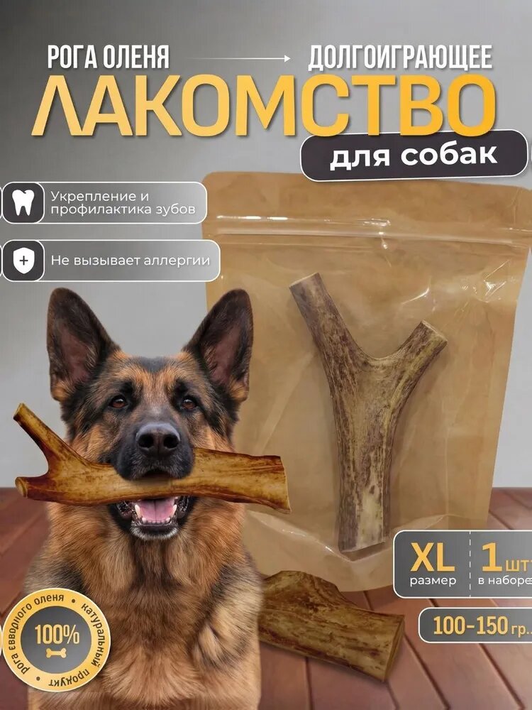 Лакомство Рога оленя для собак (Размер XL, 1 рог, 100-150 гр.)