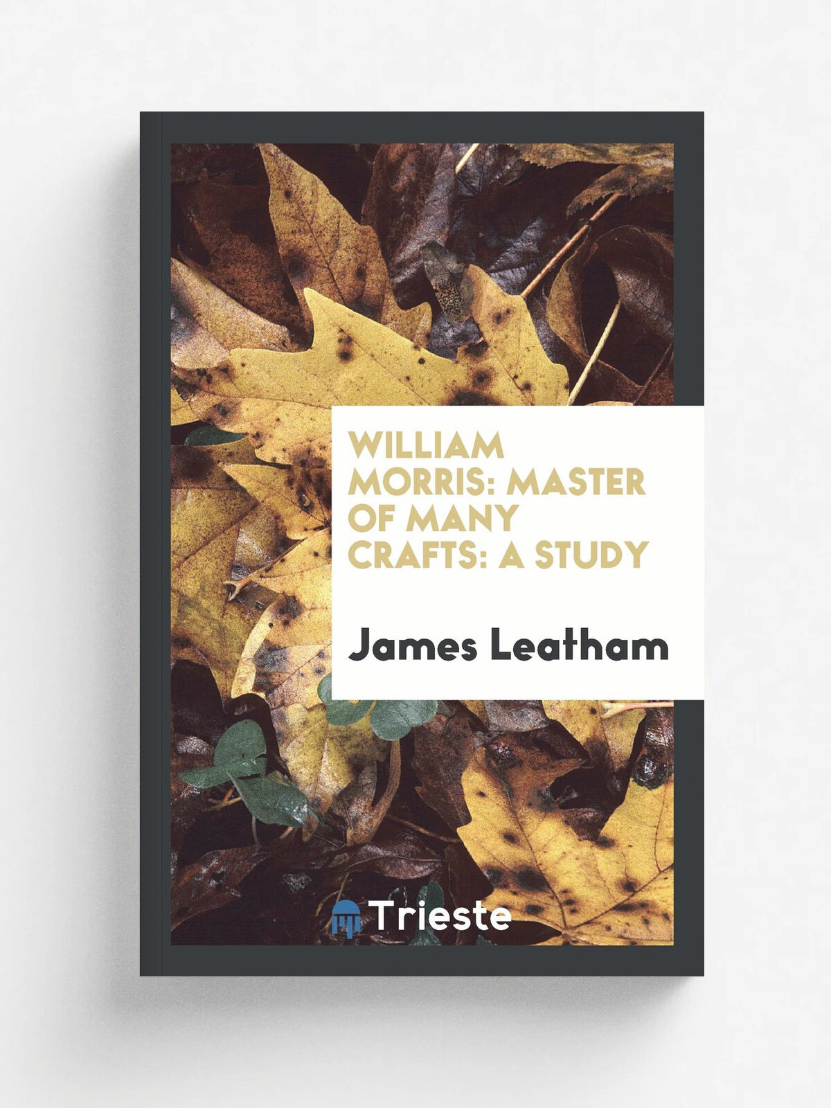 William Morris. Master of Many Crafts: a Study