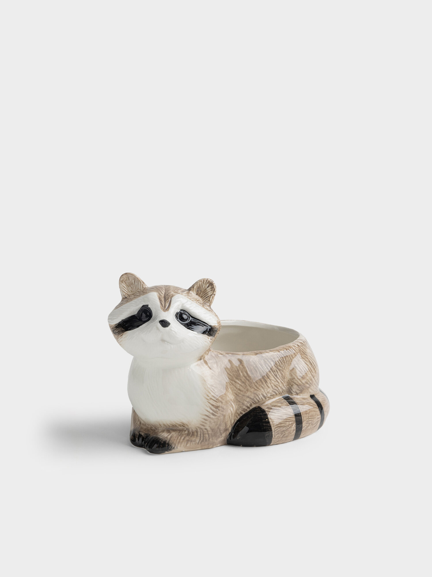 Конфетница, 20х14 см, 820 мл, керамика D, Енот, Raccoon