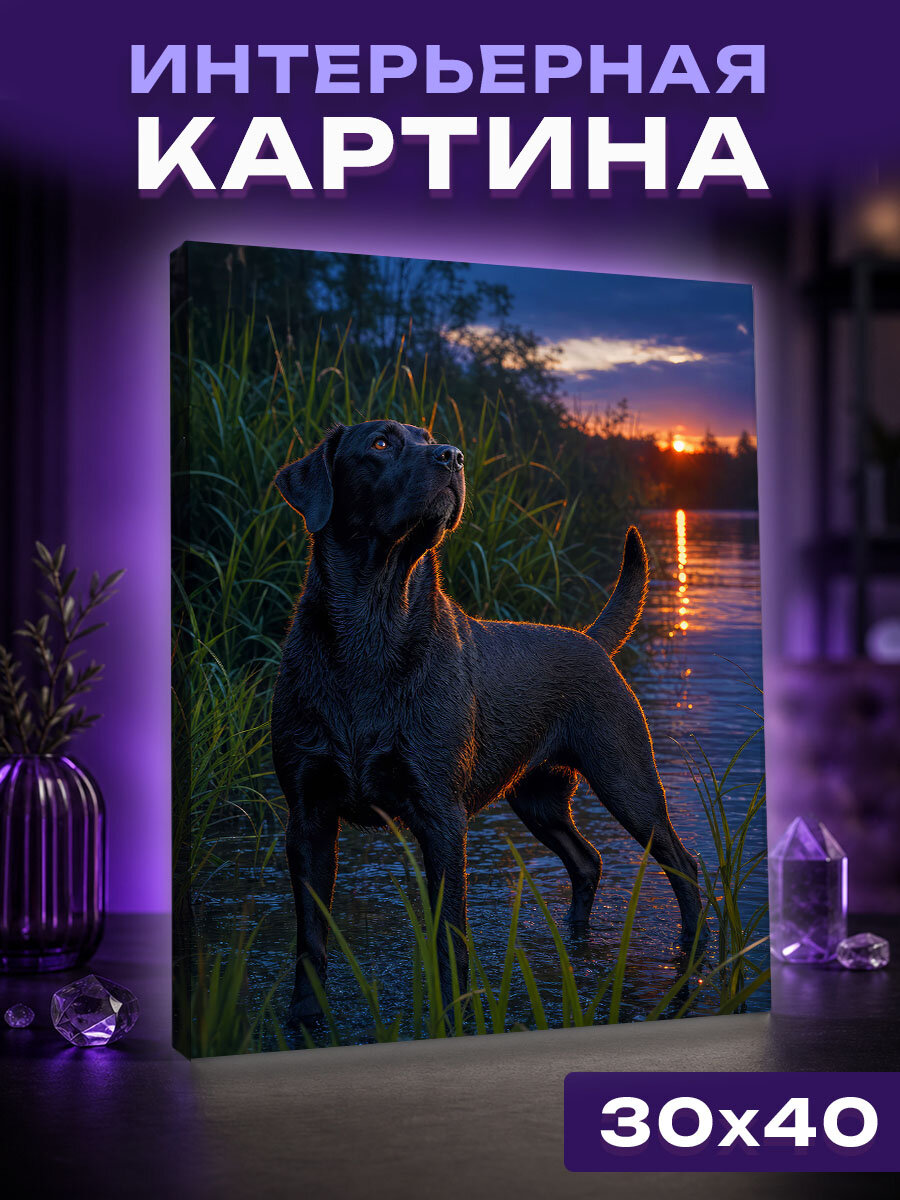 Интерьерная картина черный лабрадор в воде на закате