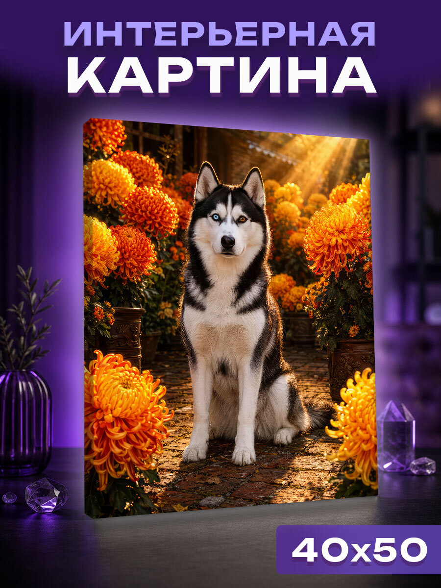 Интерьерная картина Хаски среди хризантем