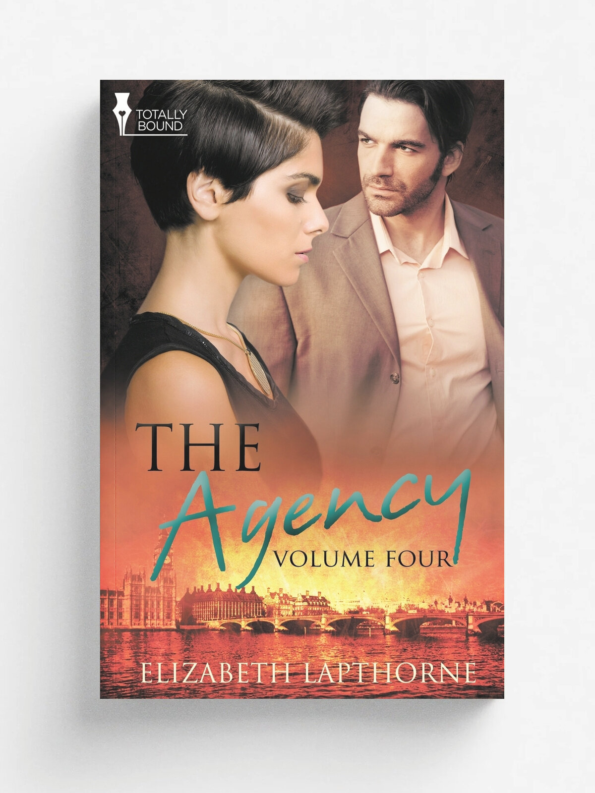 The Agency Volume Four