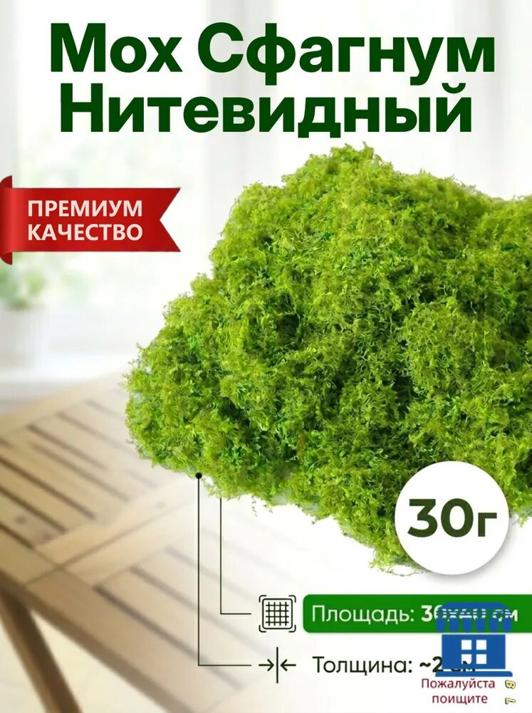 Стабилизированный мох, 30 гр, 1 шт