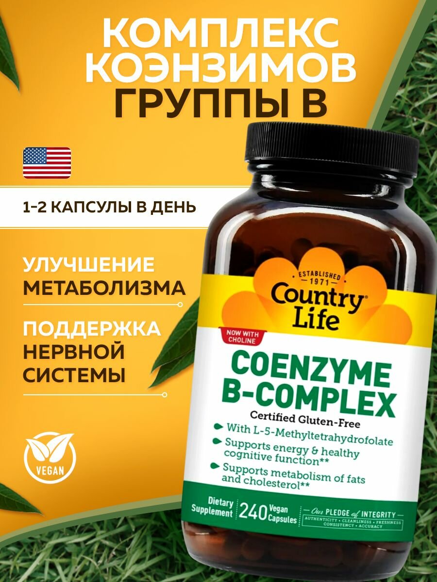 Coenzyme B-Complex, Комплекс коэнзимов группы Б, 240 штук