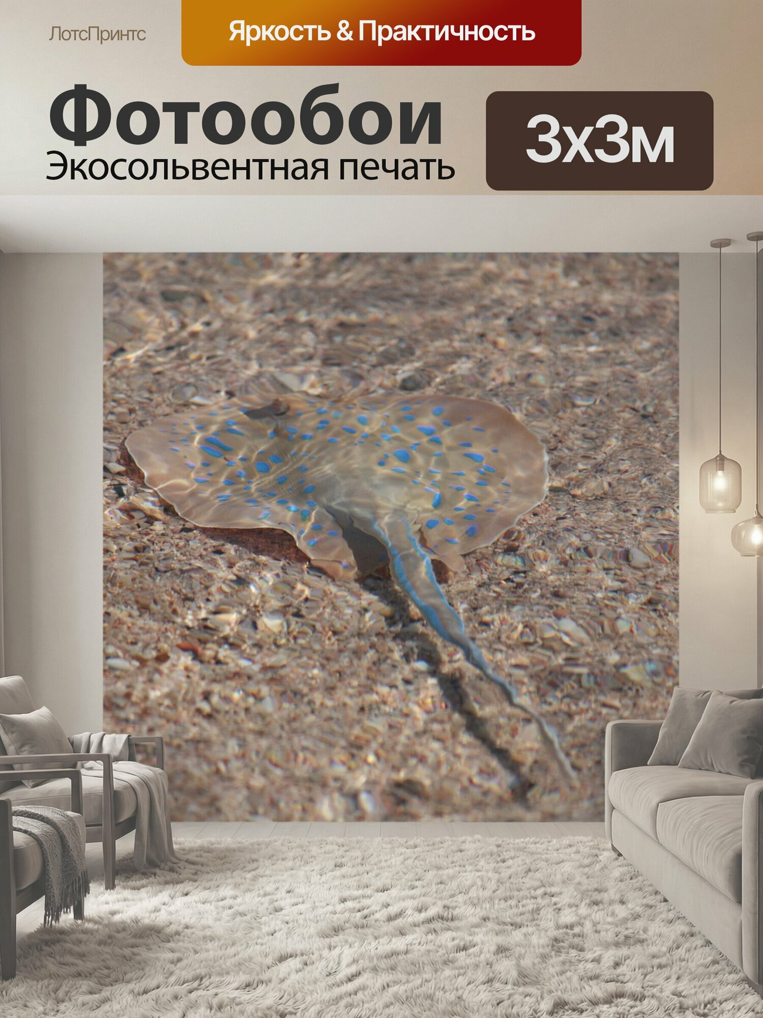 Фотообои "Скат с синими пятнами, taeniura lymma, скат" 300x300 см. экосольвентная печать