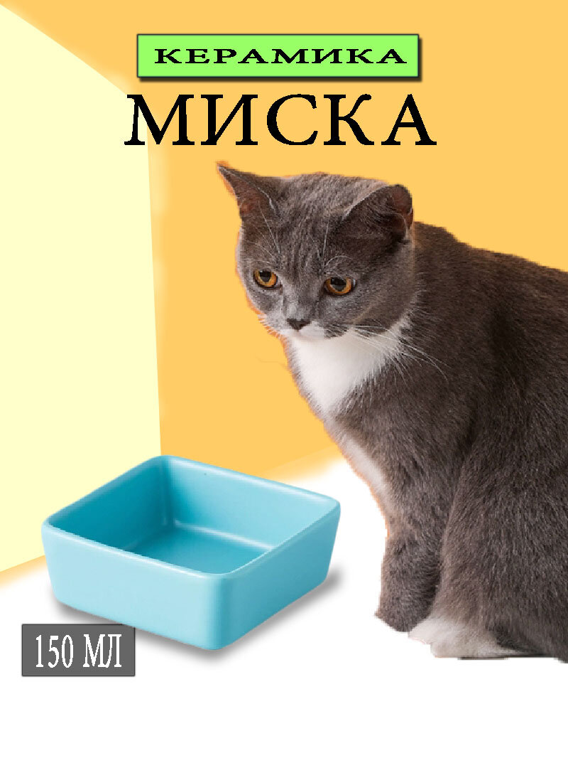Керамическая миска для кошек, маленькая квадратная, синяя, 150 мл кормушка для кошек квадратная посуда керамика 150 мл синяя миска