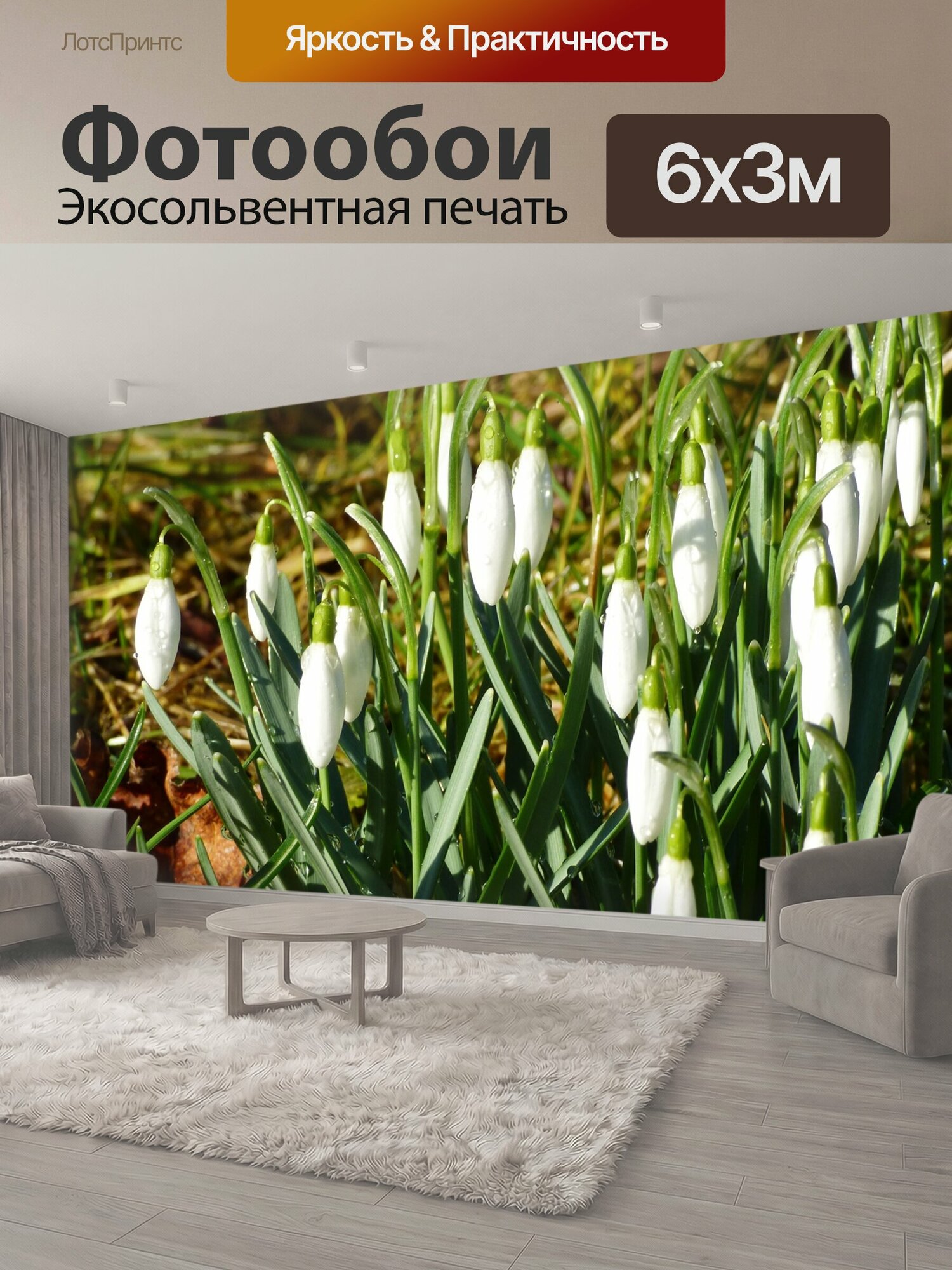 Фотообои "Подснежники, цветы, весна" 600x300 см. экосольвентная печать