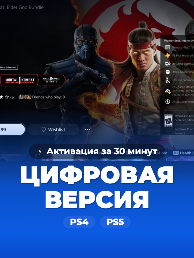 Игра Mortal Kombat: Комплект "Старший бог" для PlayStation 4, цифровая версия, без диска