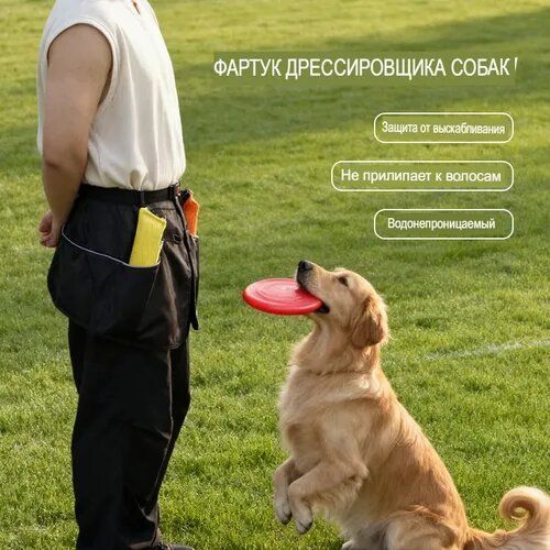 Тренировочный фартук для дрессировщиков собак, предназначен для хранения лакомств, водонепроницаемая конструкция