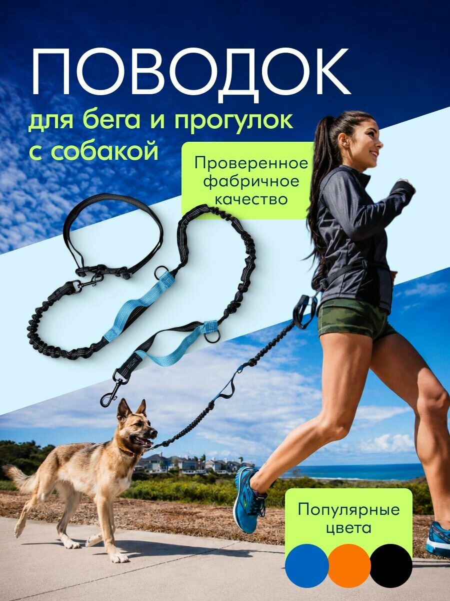 Поводок для бега, с амортизатором, регулируемый, до 2 м, для крупных и средних собак
