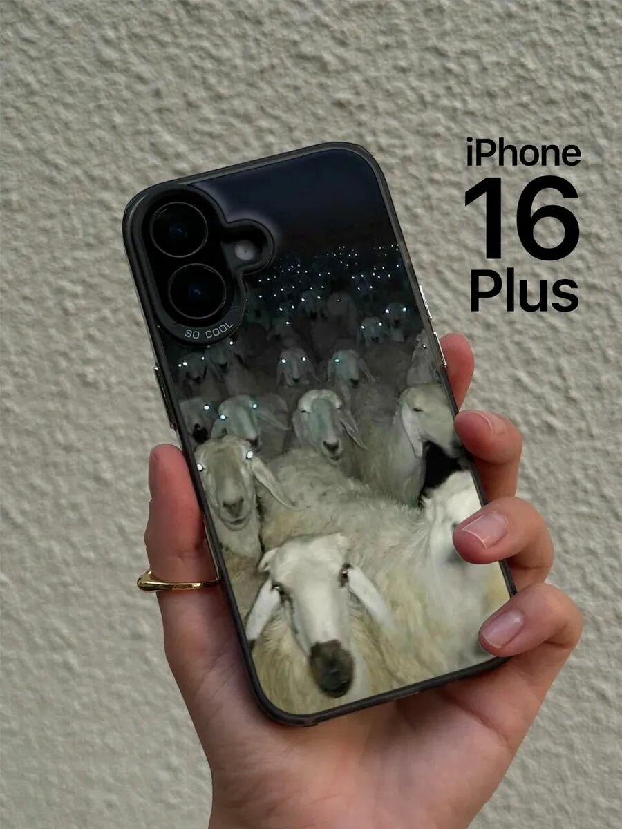 Чехол на Iphone 16 Plus мем
