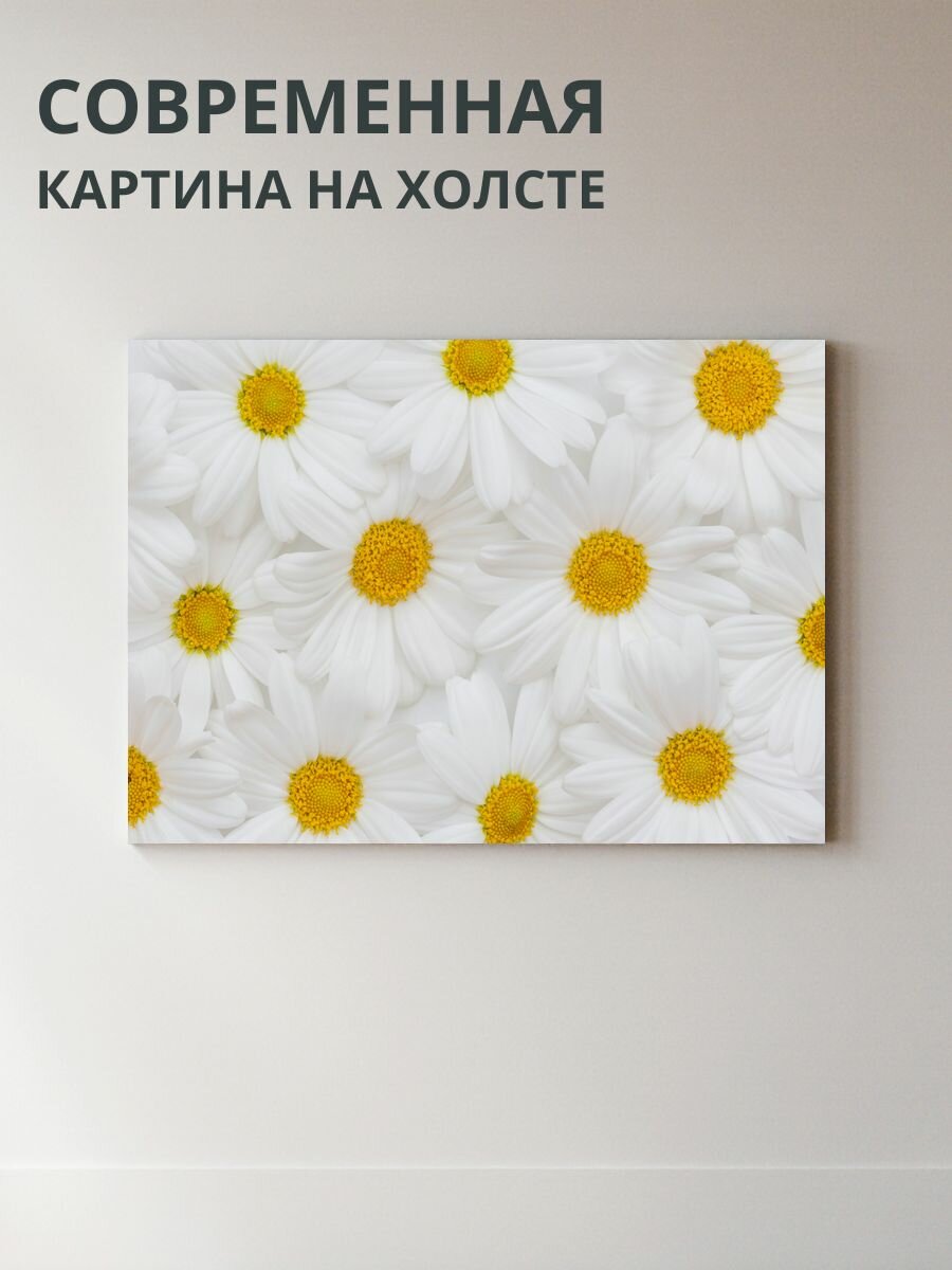 Картина на холсте Ромашки 70x50 см