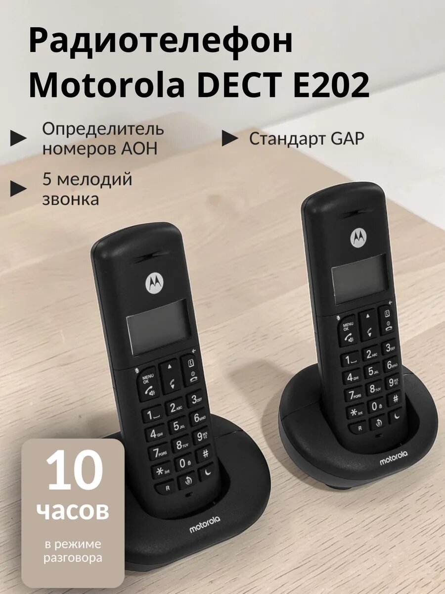 DECT E202 Ростест