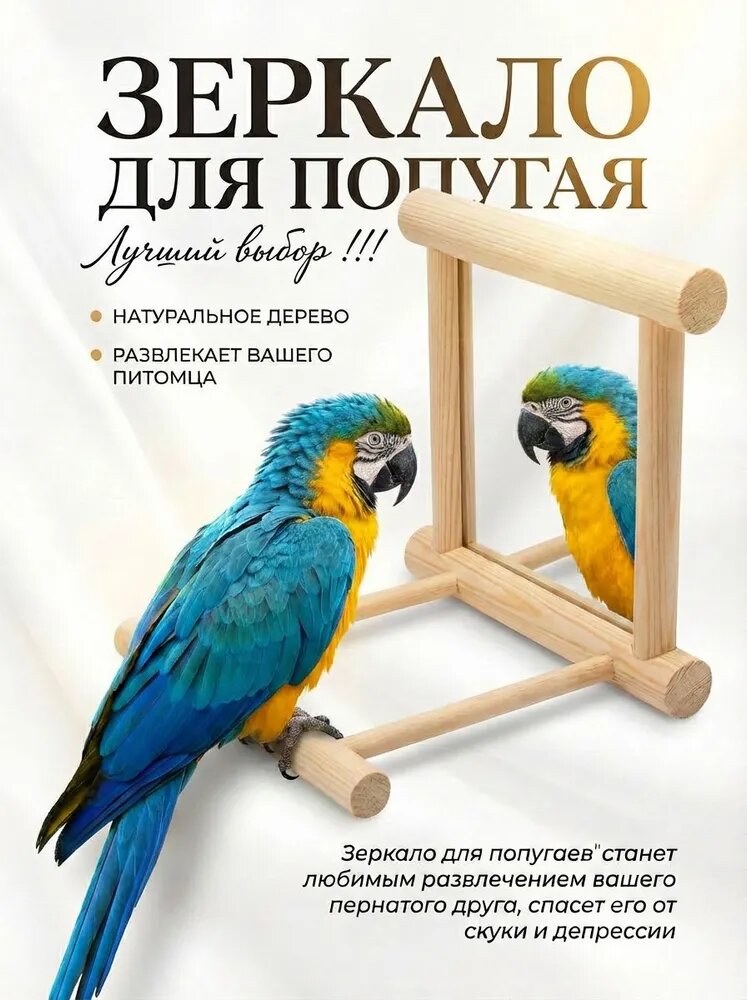 Зеркало для попугая из дерева с жердочкой, развлечение в клетке, 11x10x10 см