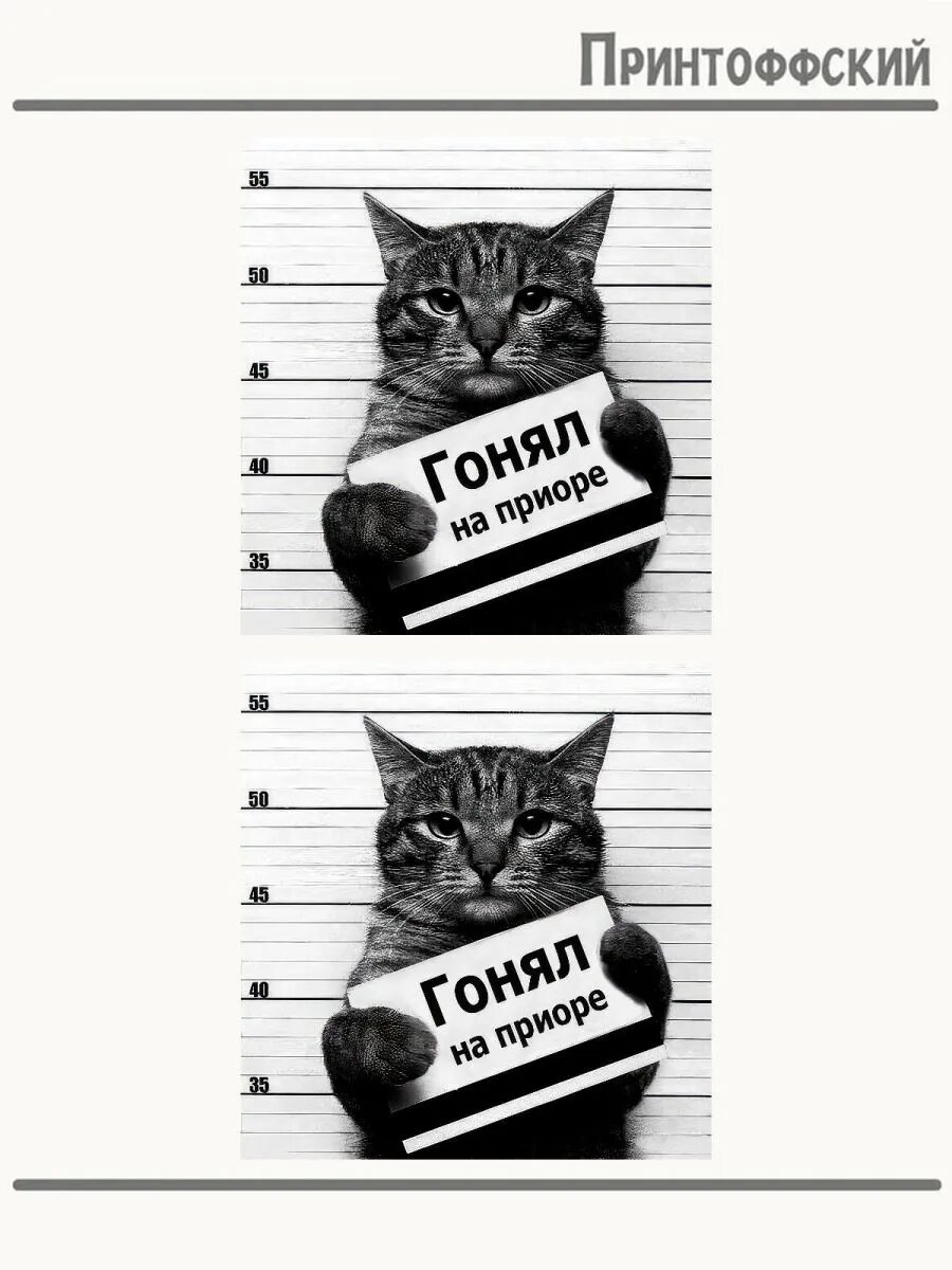 Термонаклейка Кот Нарушитель