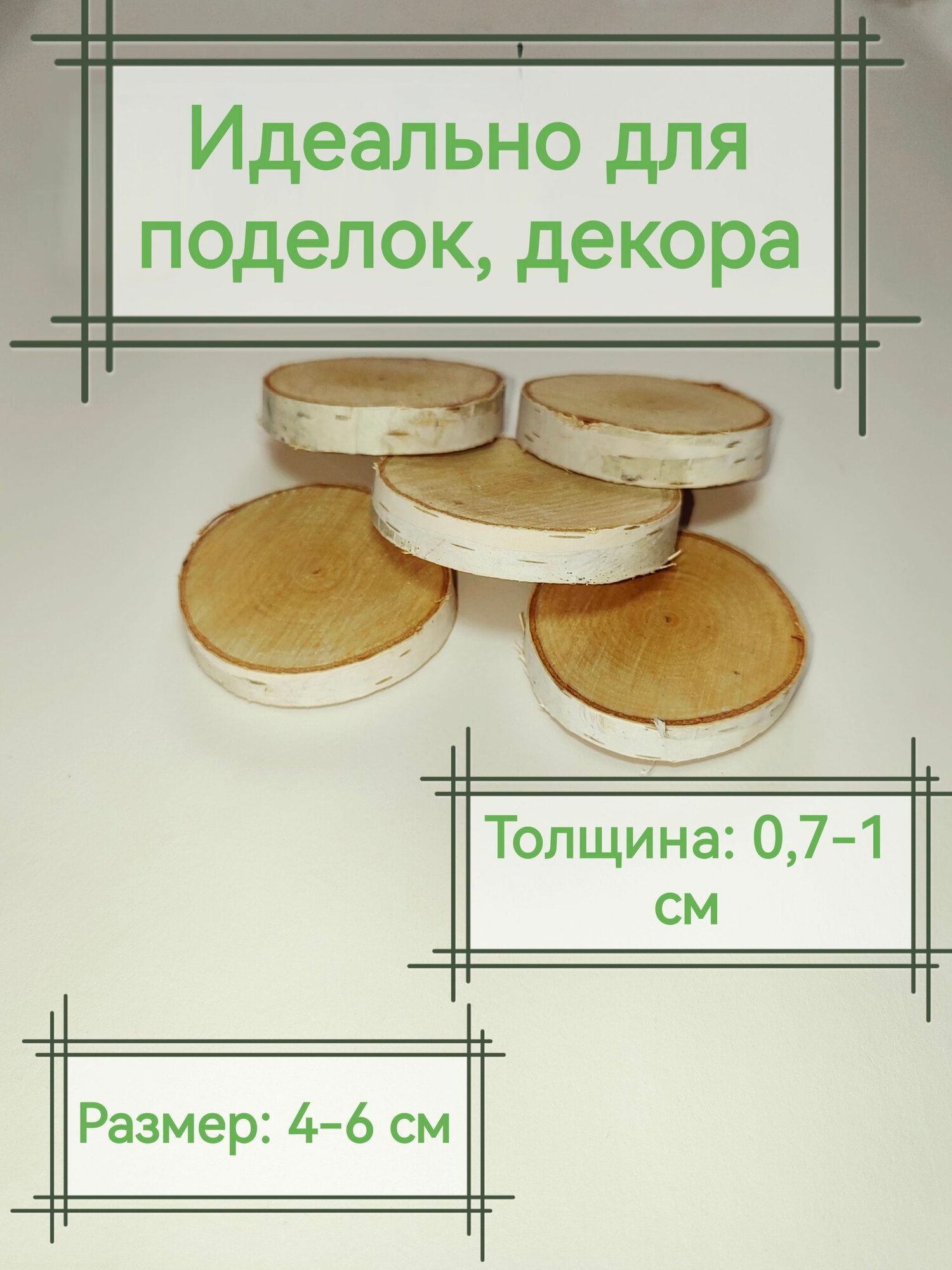 Спил берёзовый — фото 1