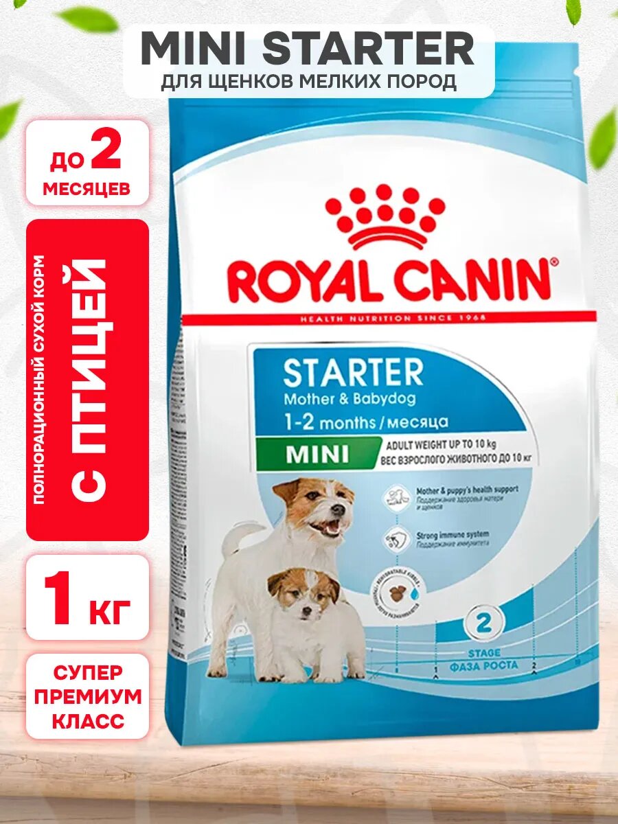 Корм сухой Royal Canin Mini Starter для щенков маленьких пород до 2 месяцев, беременных и кормящих сук, 1 кг