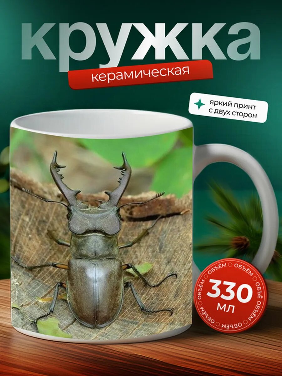 Кружка Жук-олень насекомое 6,