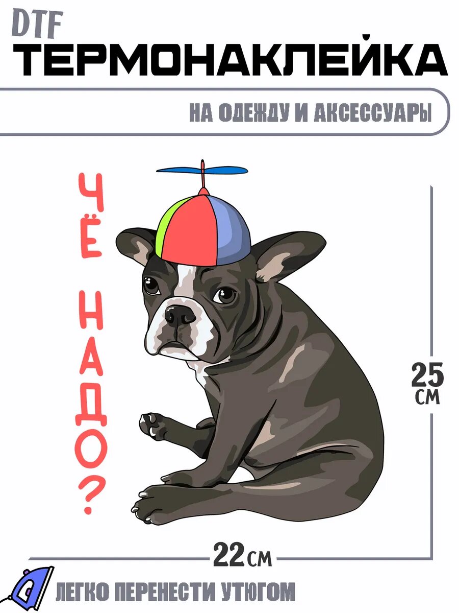Термонаклейка собака мопс