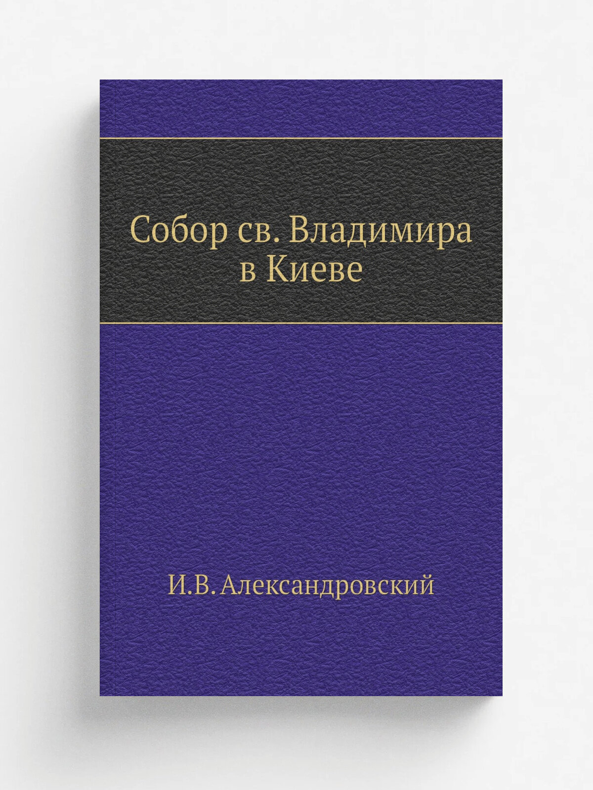 Собор св. Владимира в Киеве