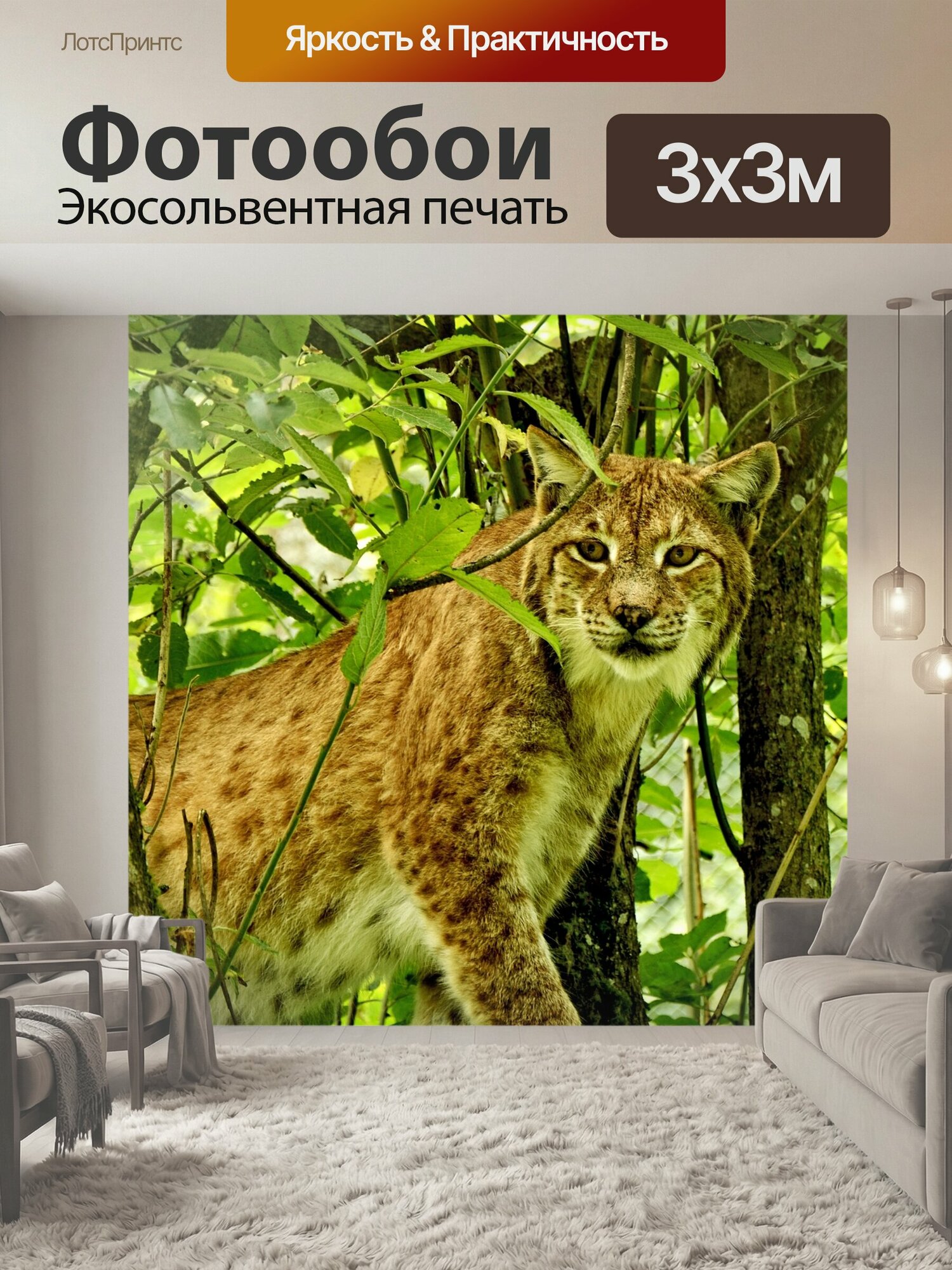 Фотообои "Рысь, дикий кот, большой кот" 300x300 см. экосольвентная печать