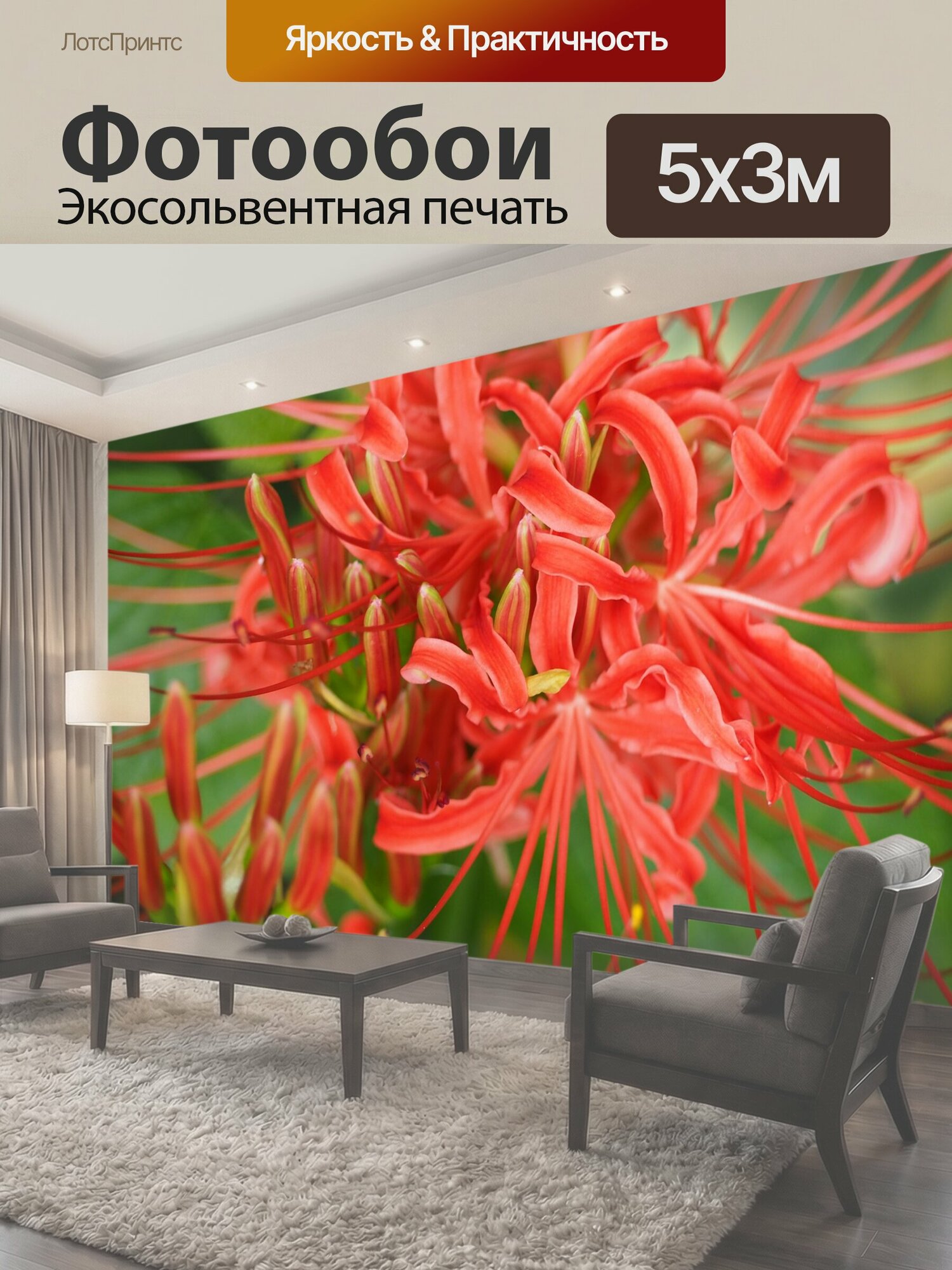 Фотообои "Паук лили, амариллис, цветы" 500x300 см. экосольвентная печать