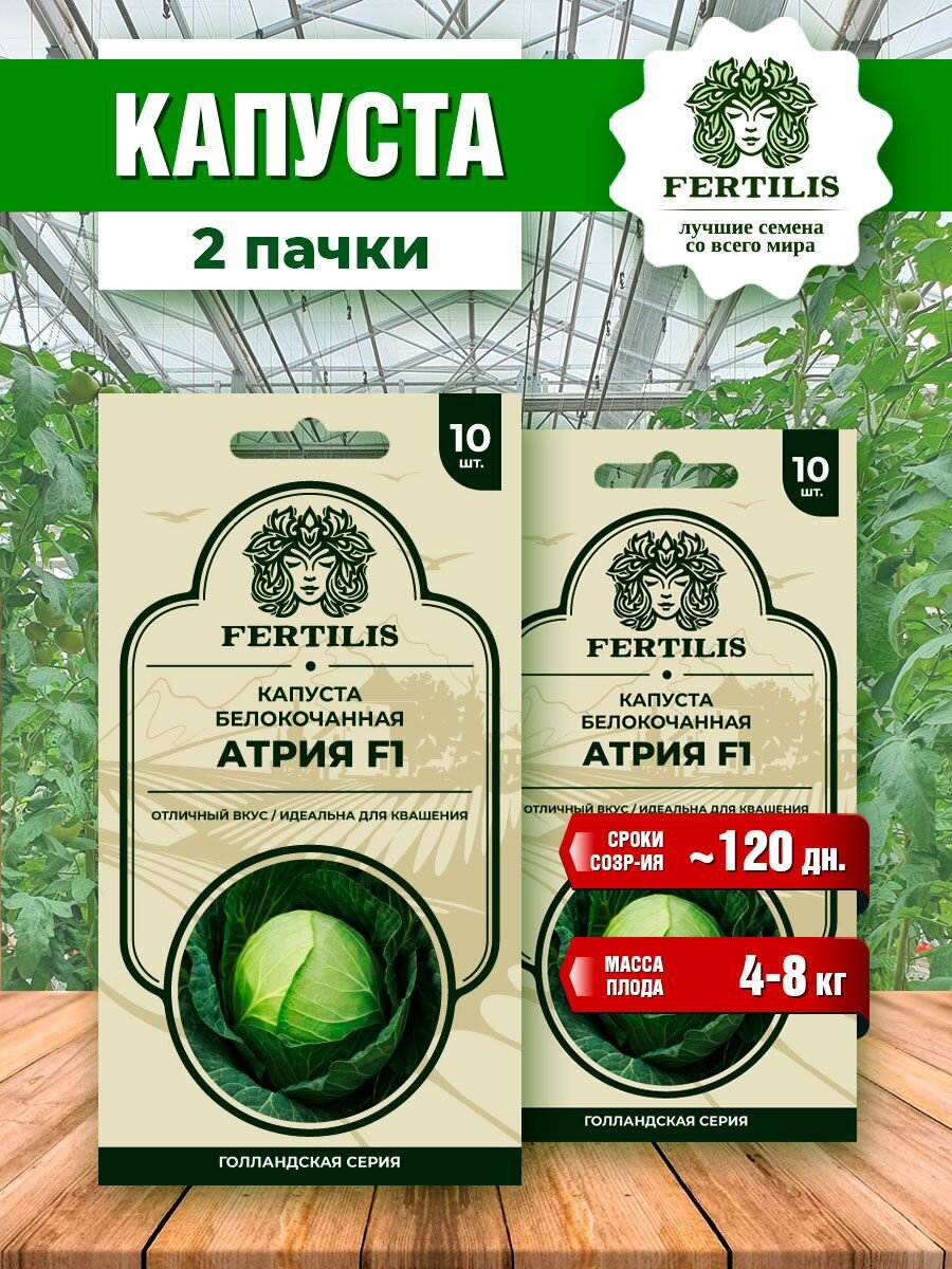 Семена капусты белокочанной Атрия F1 от компании Fertilis (2 пачки)