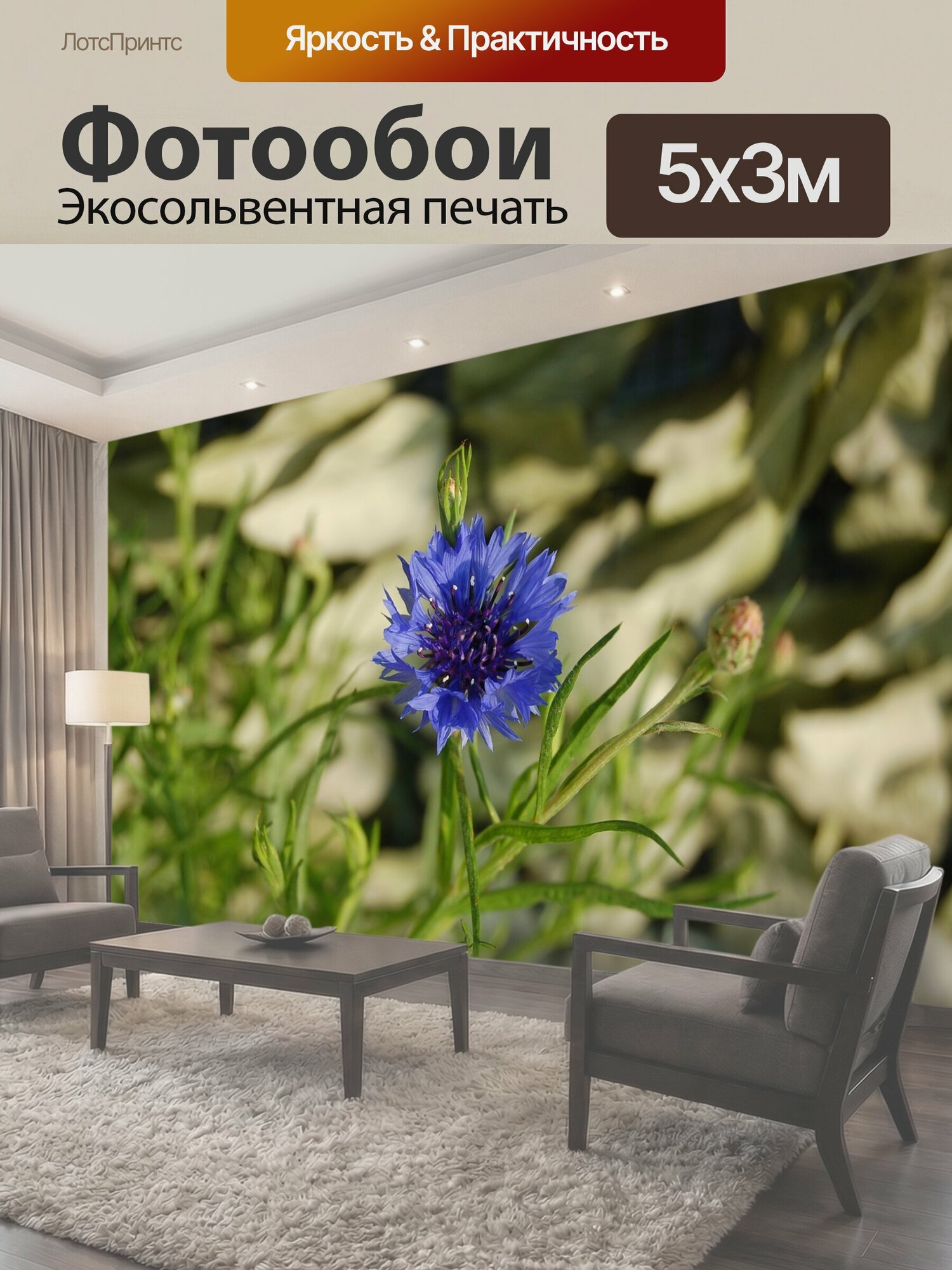 Фотообои "Василек, природа, цветок" 500x300 см. экосольвентная печать