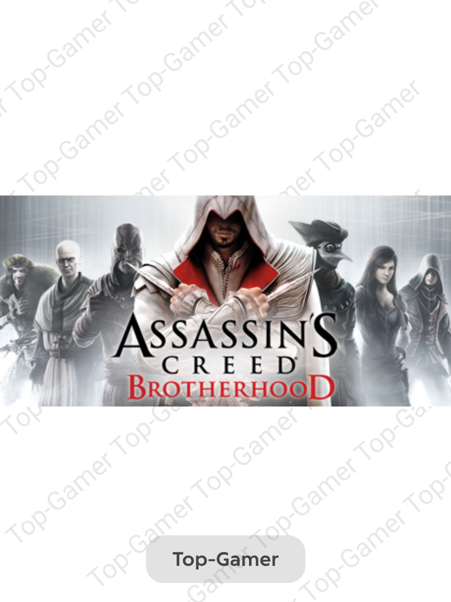 Assassin's Creed Brotherhood Казахстан